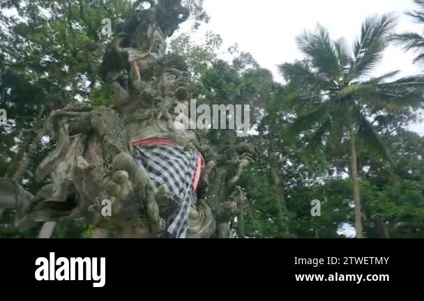 Monkey forest statue Stock Videos & Footage - HD and 4K Video Clips - Alamy