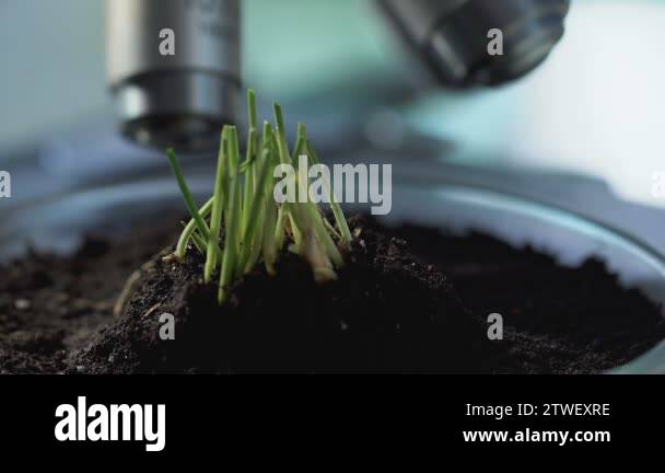 New research method Stock Videos & Footage - HD and 4K Video Clips - Alamy