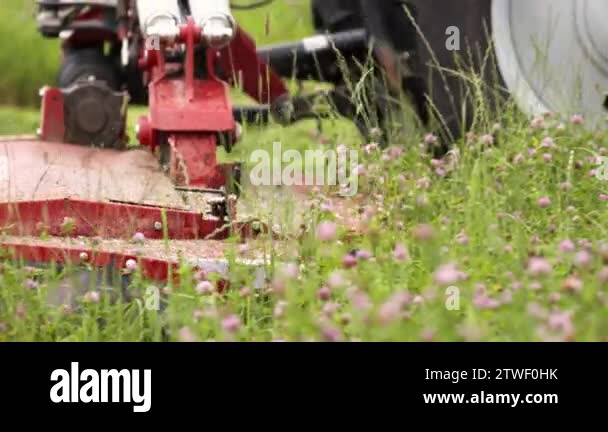 Clover machine Stock Videos & Footage - HD and 4K Video Clips - Alamy