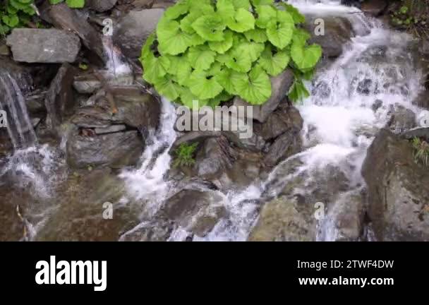Stone water splash Stock Videos & Footage - HD and 4K Video Clips - Alamy