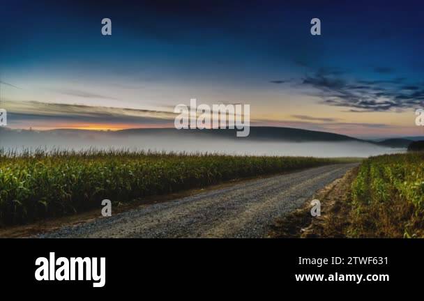 Fog over corn field Stock Videos & Footage - HD and 4K Video Clips - Alamy