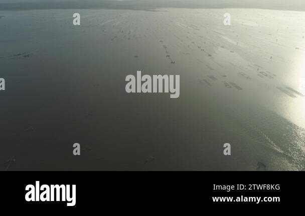 Bato bato Stock Videos & Footage - HD and 4K Video Clips - Alamy