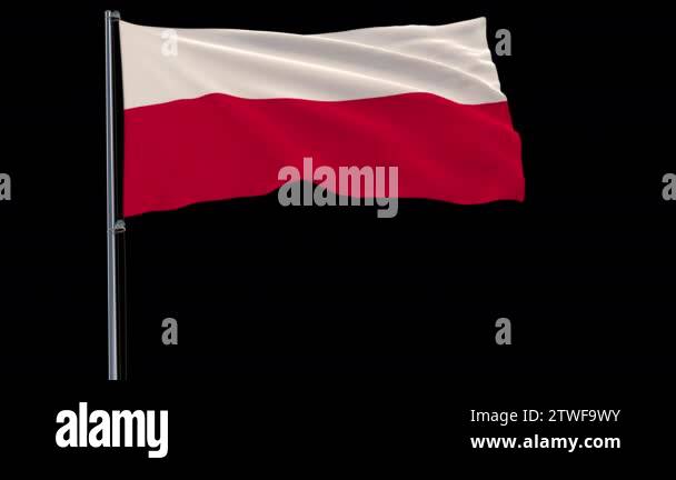 Isolate flag of Poland on a flagpole fluttering in the wind on a ...