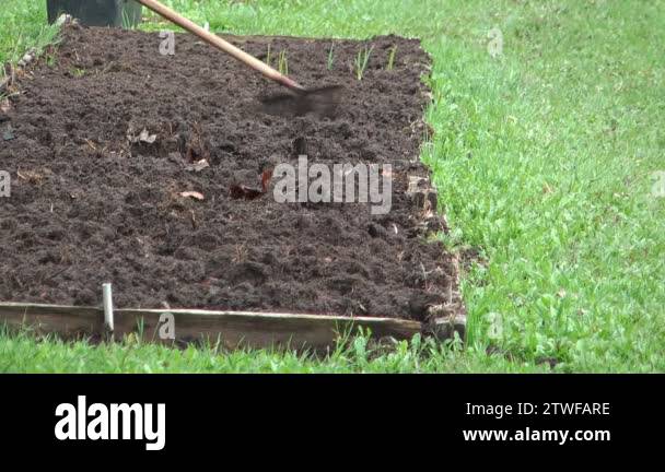 Rake Stock Videos & Footage - HD and 4K Video Clips - Alamy