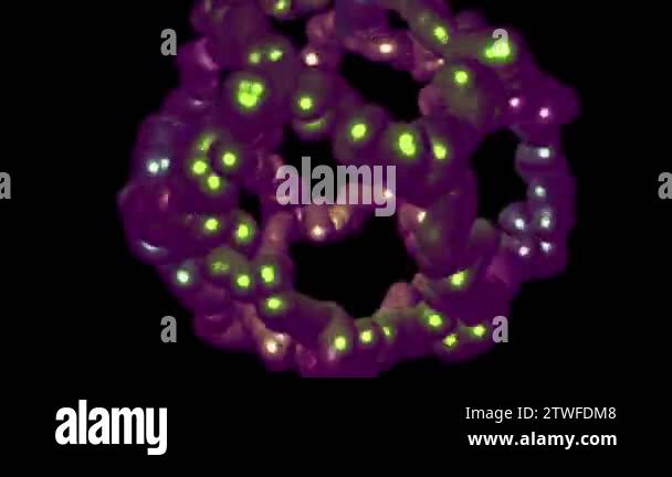 Ocean microfauna Stock Videos & Footage - HD and 4K Video Clips - Alamy