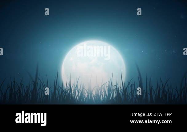 Grass Leaves On Beautiful Night Sky Loop/ 4k animation of a loopable ...