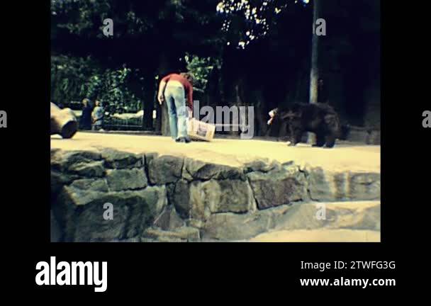 Animal trainer bear in Stock Videos & Footage - HD and 4K Video Clips ...