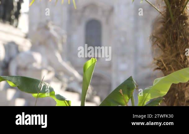 White lion square Stock Videos & Footage - HD and 4K Video Clips - Alamy