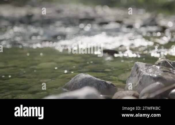 Pot bank Stock Videos & Footage - HD and 4K Video Clips - Alamy