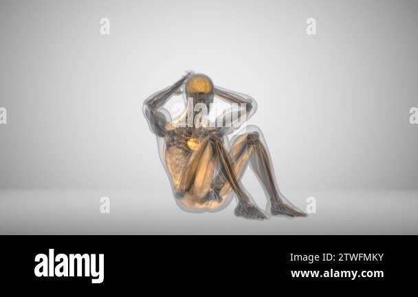 Muscle activity during abs exercises, animation in x-ray style Stock ...