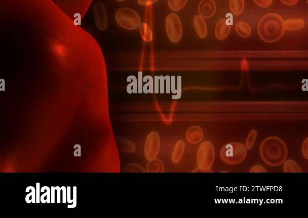 Heart rate health cardiology Stock Videos & Footage - HD and 4K Video ...