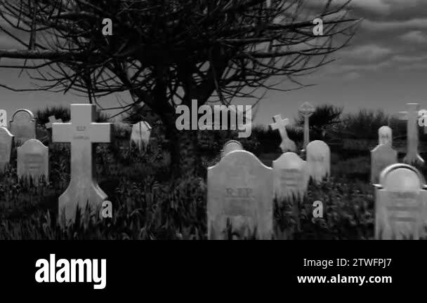 Victorian death corpse Stock Videos & Footage - HD and 4K Video Clips ...