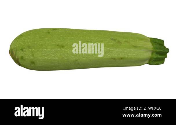 Realistic render of a rotating zucchini (Magda variety) on white ...