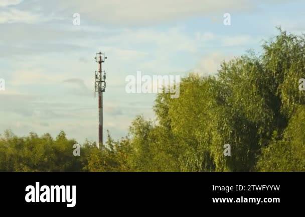 Mobile antenna trees Stock Videos & Footage - HD and 4K Video Clips - Alamy