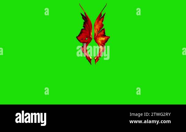 Red Demon Devil Wings Green Screen 3D Renderings Animations Stock Video ...