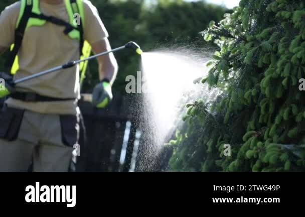 Fighting insects Stock Videos & Footage - HD and 4K Video Clips - Alamy