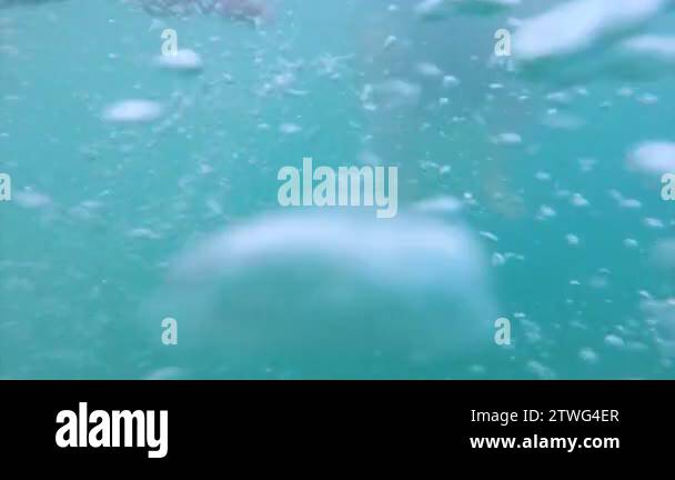 Underwater rescue Stock Videos & Footage - HD and 4K Video Clips - Alamy