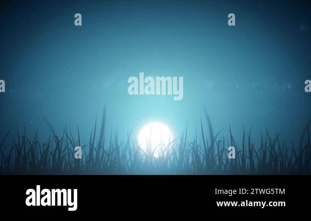 Grass Leaves On Beautiful Night Sky Loop/ 4k animation of a loopable ...