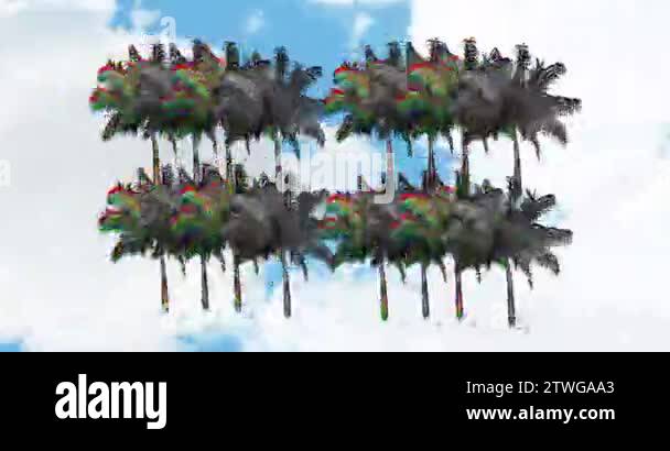 Digital animation of colorful and monochrome static shaped as palm ...