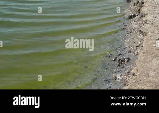 Run diagonally Stock Videos & Footage - HD and 4K Video Clips - Alamy