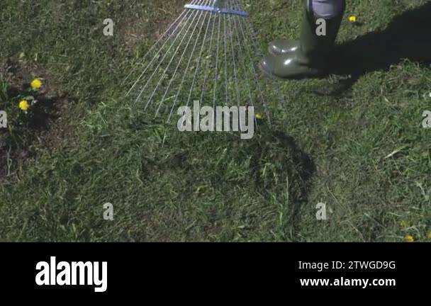 Woman with a rake Stock Videos & Footage - HD and 4K Video Clips - Alamy