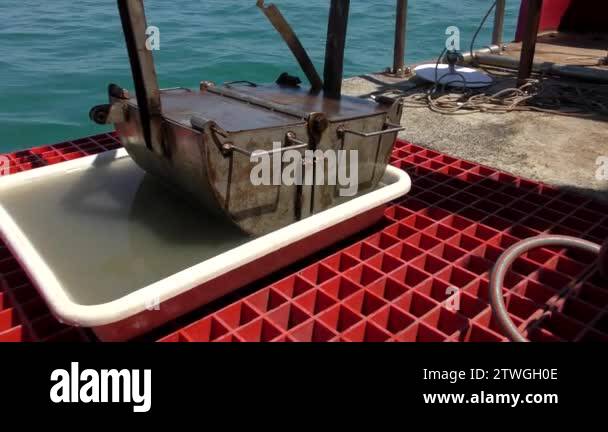 Marine Research: An instrument for sampling bottom animals (bottom ...