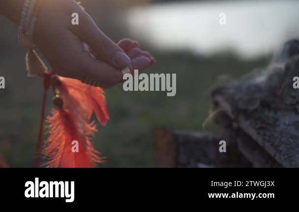 Powder feathers Stock Videos & Footage - HD and 4K Video Clips - Alamy