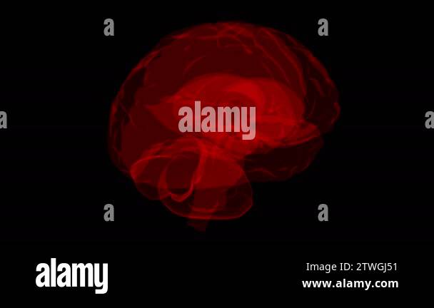 Cyclically rotating computer model of the human brain. Animation with ...