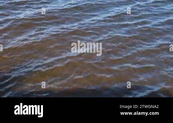 Water surface light waves in Stock Videos & Footage - HD and 4K Video ...