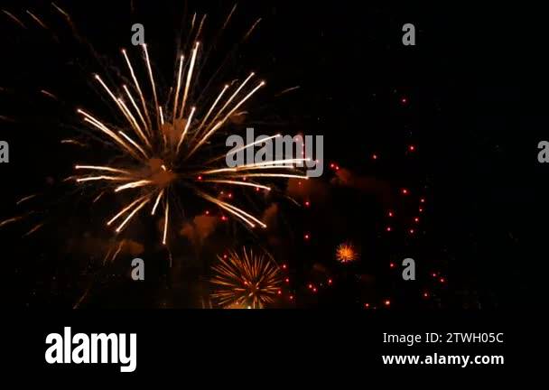 Blank shells Stock Videos & Footage - HD and 4K Video Clips - Alamy