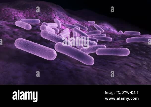 Bacteria laying on a surface, microscopic 3d rendered animation Stock ...
