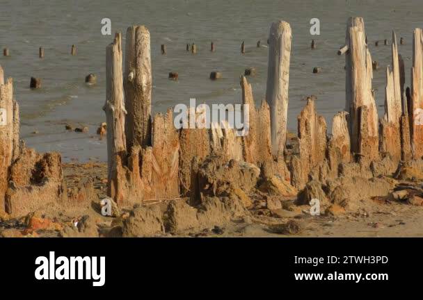 Clay dam Stock Videos & Footage - HD and 4K Video Clips - Alamy
