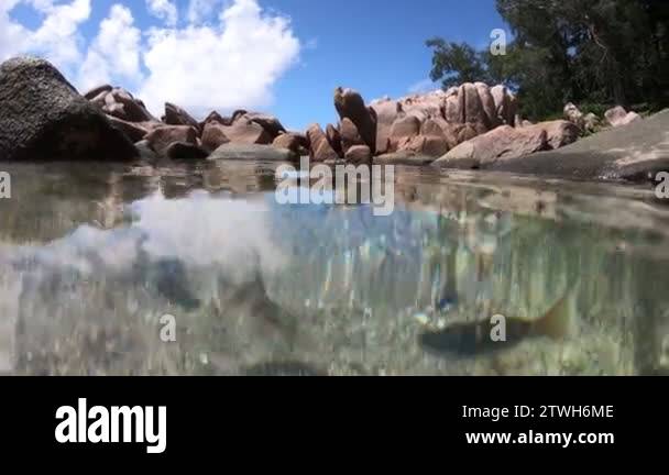 Sea swimming pools Stock Videos & Footage - HD and 4K Video Clips - Alamy