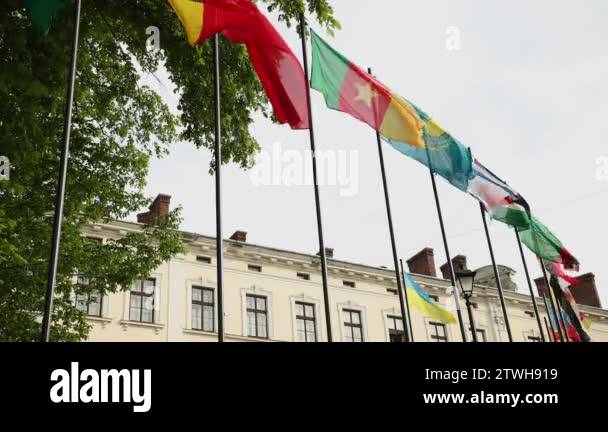 Flags of commonwealth countries Stock Videos & Footage - HD and 4K ...