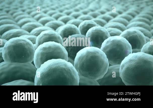 Microscopic image scale Stock Videos & Footage - HD and 4K Video Clips ...