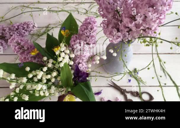 Poor shape Stock Videos & Footage - HD and 4K Video Clips - Alamy