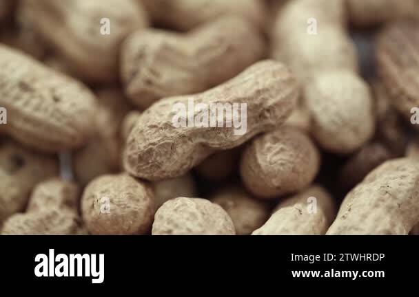 Groundnut Stock Videos & Footage - HD and 4K Video Clips - Alamy