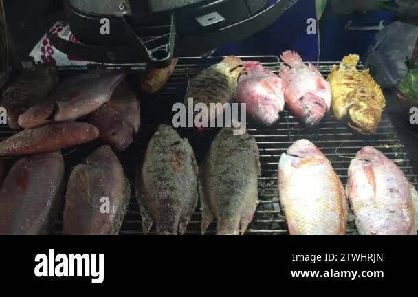 Fat merchant Stock Videos & Footage - HD and 4K Video Clips - Alamy