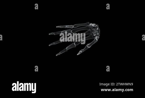 Distal phalange bone Stock Videos & Footage - HD and 4K Video Clips - Alamy