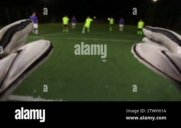 Goalkeeper punch Stock Videos & Footage - HD and 4K Video Clips - Alamy