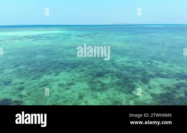 Aerial: drone flying over caribbean sea coral reef uncontaminated ...