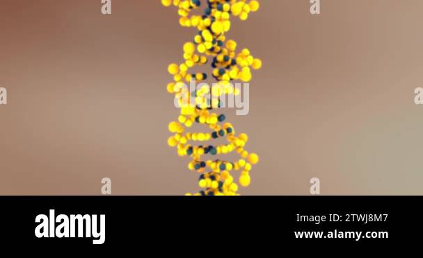 Chromosome biology genetics Stock Videos & Footage - HD and 4K Video ...