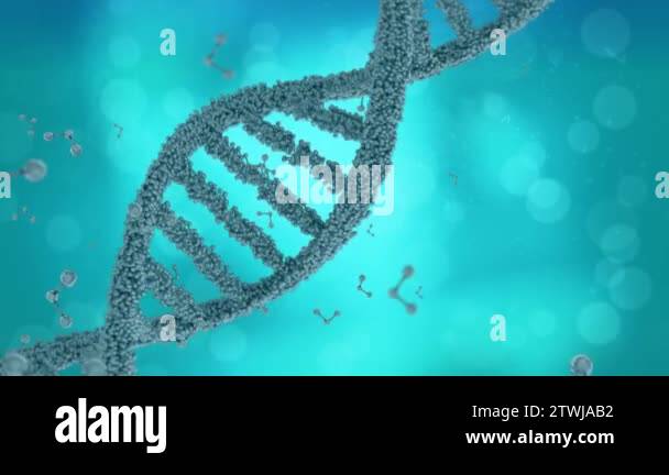 Digital animation of DNA double helix made up of molecule models rotating in the screen while ...