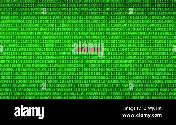 Wall of Green Binary Code Revealing BIG DATA Word Between Random Binary ...