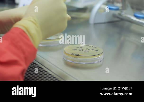 Scientist hand writing on test beakers. Hands in gloves working with ...