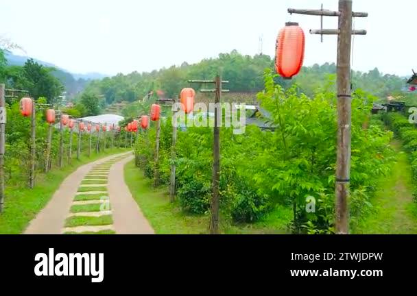 Thailand alley thai Stock Videos & Footage - HD and 4K Video Clips - Alamy