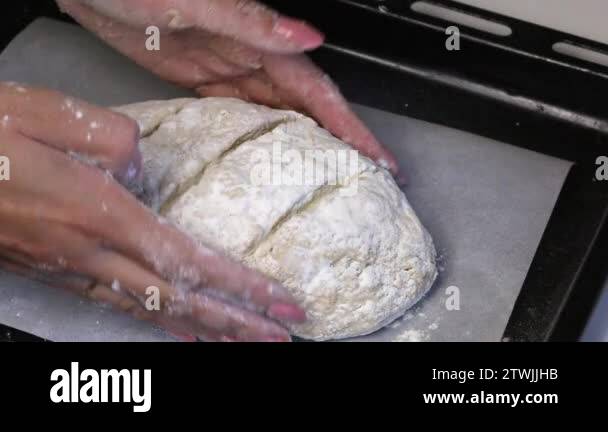 Loaf of wholegrain bread Stock Videos & Footage - HD and 4K Video Clips ...