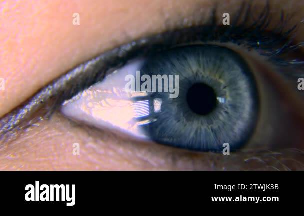 Close-up. Macro Blue Female Human Eye. Pupil Cornea Iris Eyeball ...