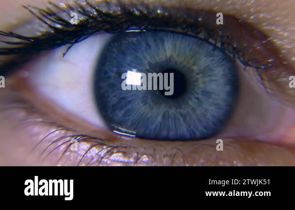 Close-up. Macro Blue Female Human Eye. Pupil Cornea Iris Eyeball ...