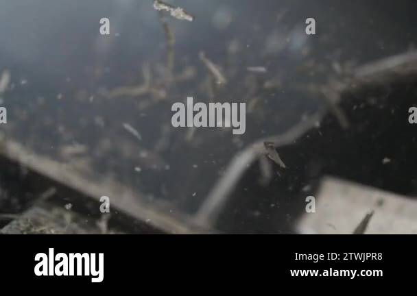 Spreading out machine Stock Videos & Footage - HD and 4K Video Clips ...